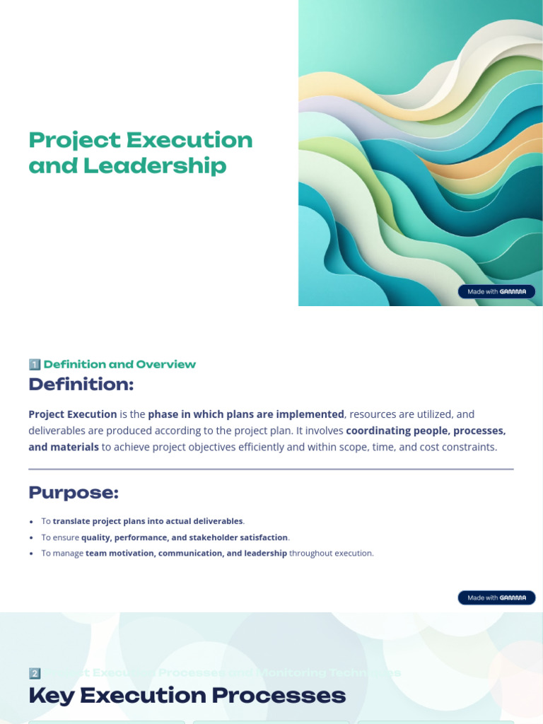 Project Execution and Leadership Insights | PDF | Business