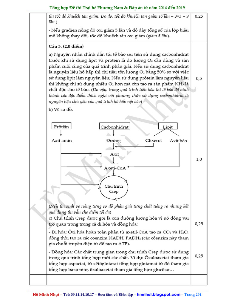 DE-DAPAN TRAI HE PHUONG NAM 2014-2019 HMNHUT-trang-30 | PDF