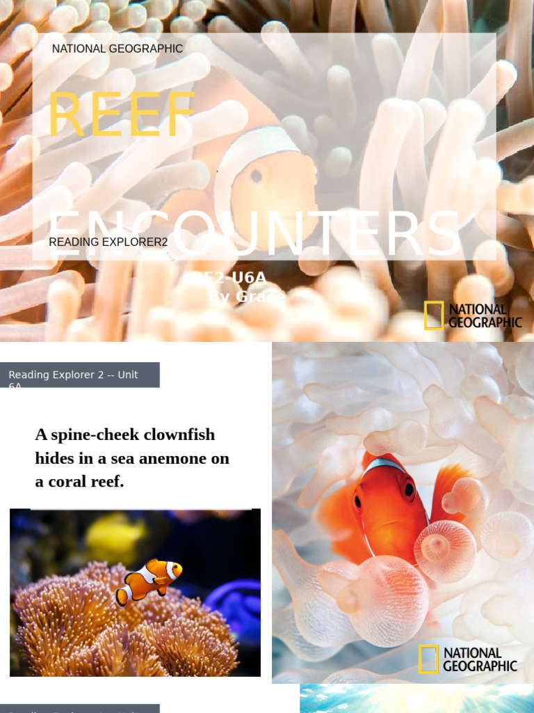 Coral Reefs: Ecosystem Threats Explained | PDF | Coral | Coral Reef