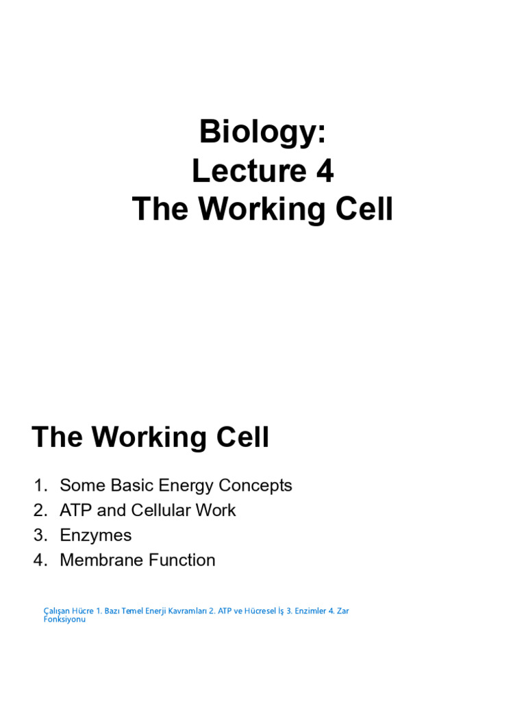The Working Cell | PDF