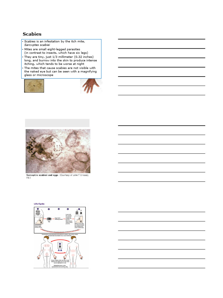 1 Scabies | PDF | Diseases And Disorders | Medical Specialties
