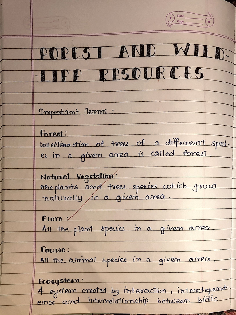 Geo-Forest and Water | PDF