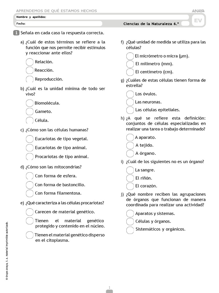 EXAMEN CONO UD1 | PDF | Biología Celular) | Músculo