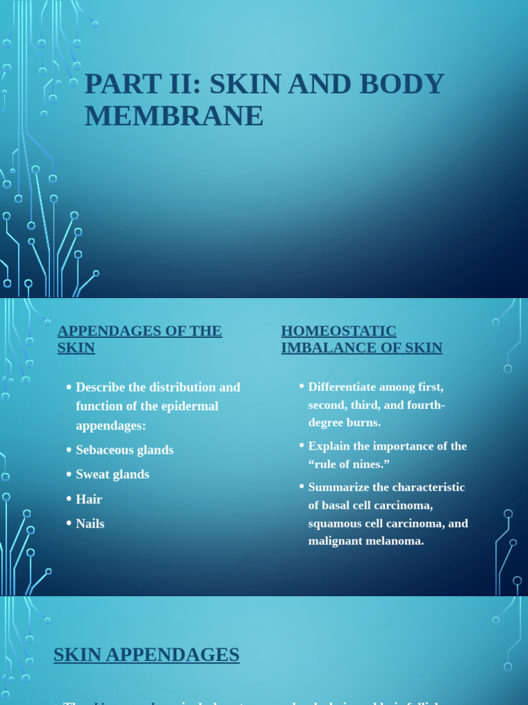 Skin and Body Membrane John Carl | PDF | Skin | Skin Cancer