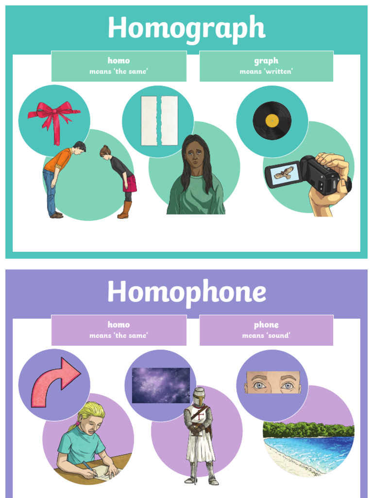 t2 e 013 Homograph Homophone and Homonym Explanation Display Posters ...