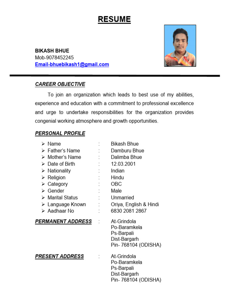 Bikash Resum | PDF