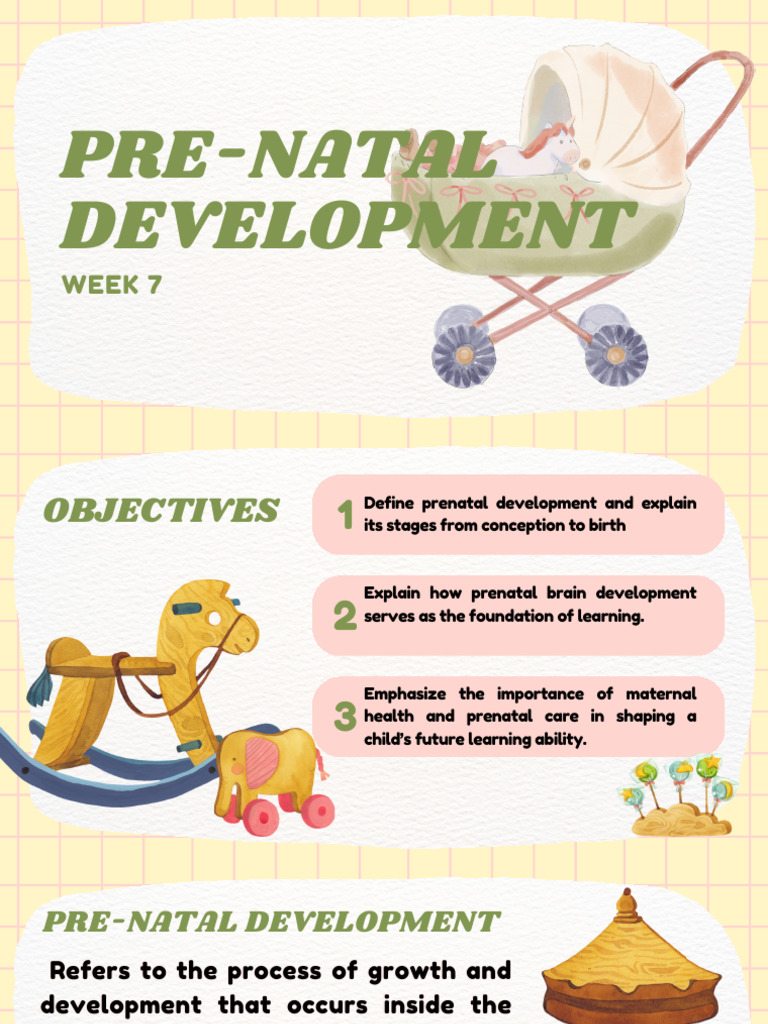 Pre-Natal Development (Week 7) - 20250915 - 213919 - 0000 | PDF ...