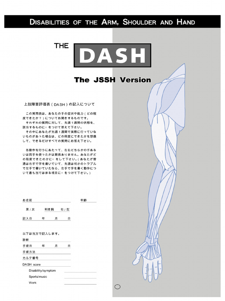 DASH Japanese | PDF