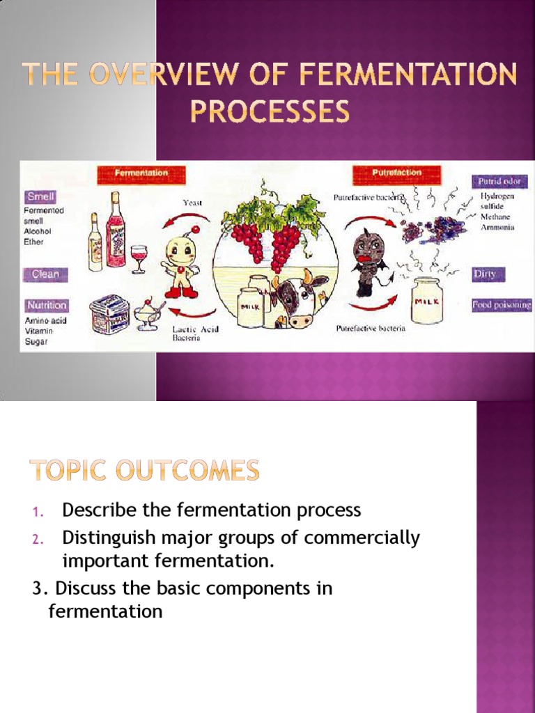 The Overview of Fermentation Processes | PDF | Metabolism | Fermentation
