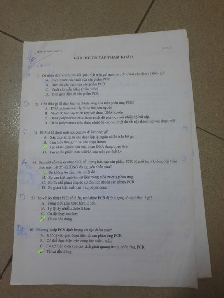 SHPT 5 | PDF