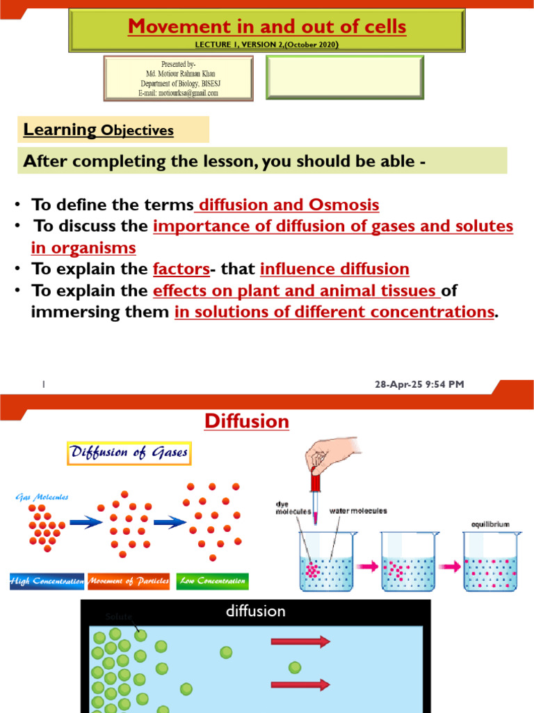 Cell Movement: Diffusion & Osmosis | PDF | Osmosis | Diffusion