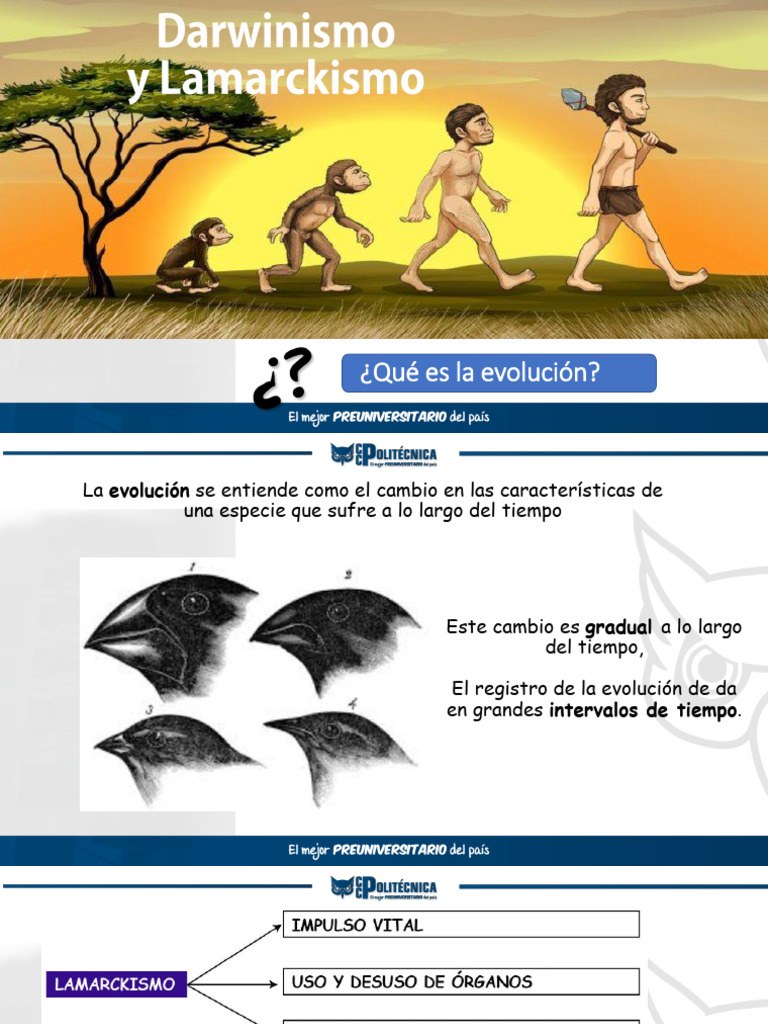 DOCI B1 TEMA 02 | PDF