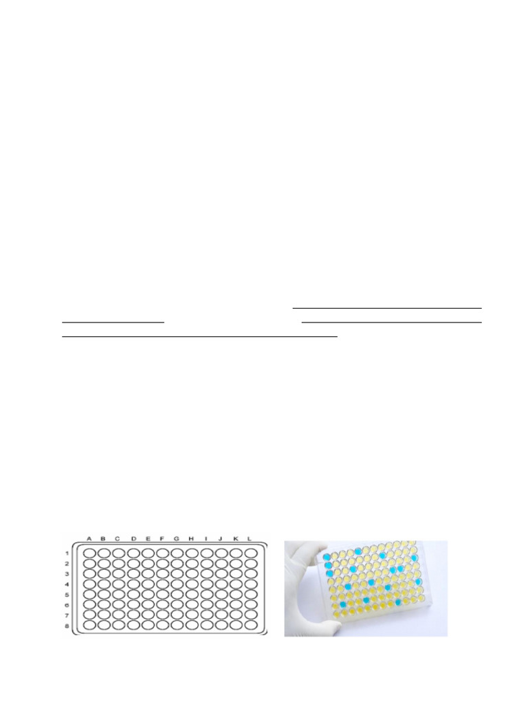 Experiment- ELISA | PDF | Elisa | Antibody