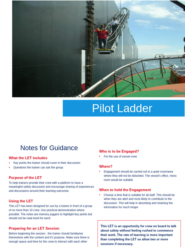 Essential Pilot Ladder Safety Guidelines | PDF