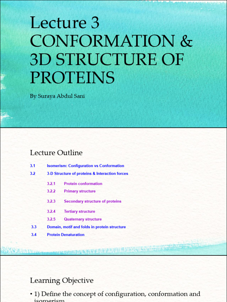 Lect 3 - Conformation 3D Structure of Proteins | PDF | Protein ...