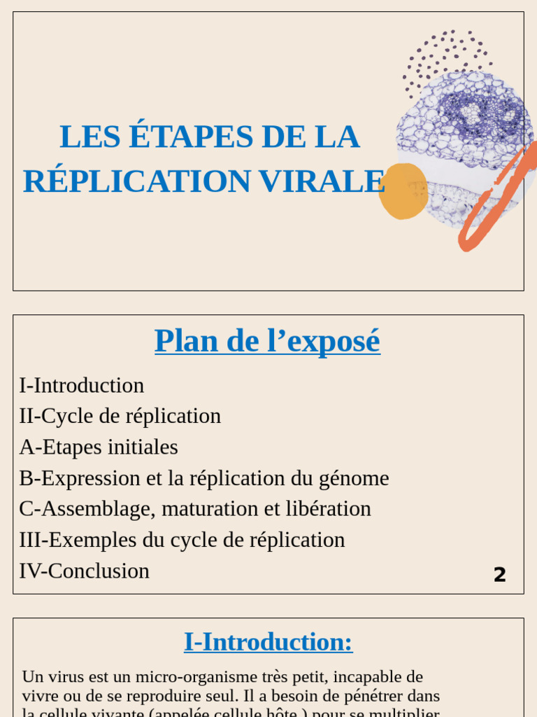 Étapes du Cycle de Réplication Virale | PDF | Virus | Microbiologie