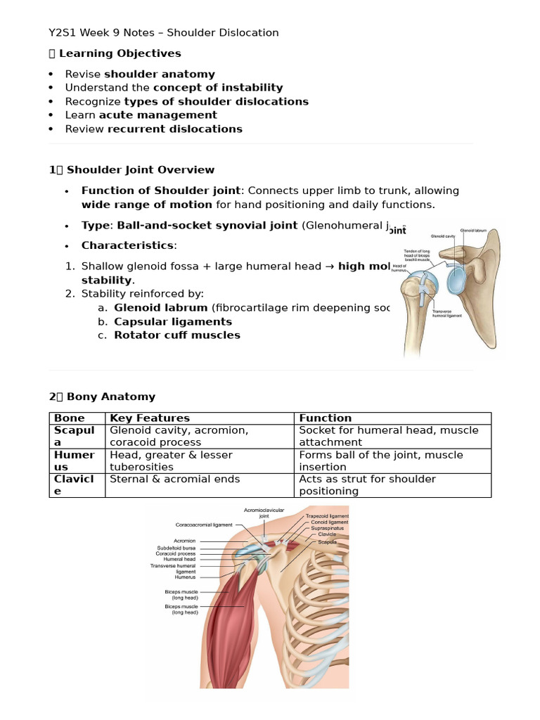 Y2S1 Week 9 Notes - Shoulder Dislocation | PDF | Shoulder ...