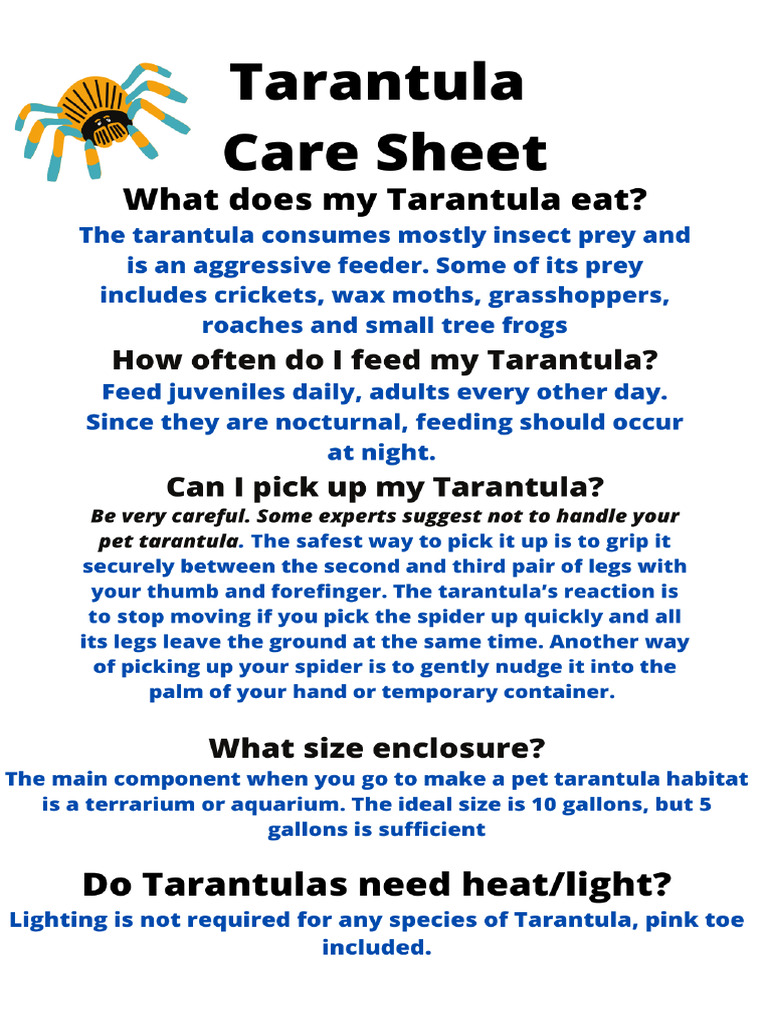 Tarantula Care Sheet | PDF