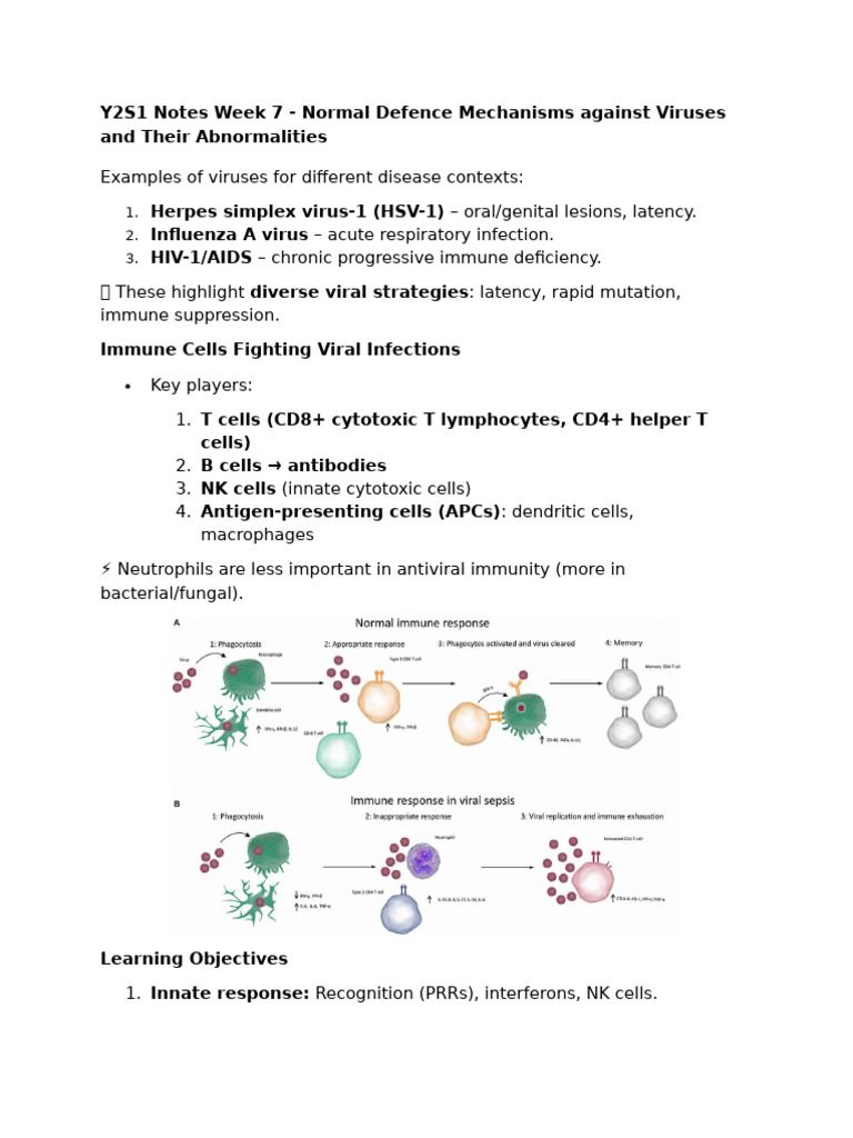 Y2S1 Notes Week 7 - Normal Defence Mechanisms Against Viruses and Their ...
