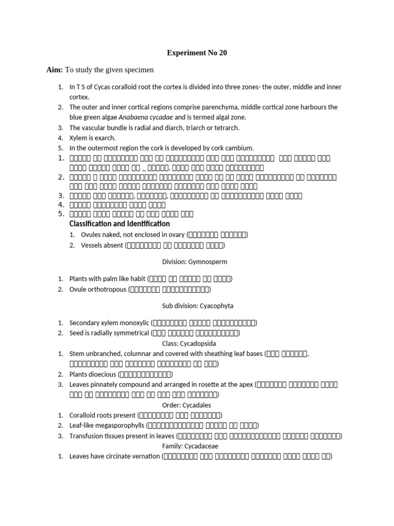 Cycas Coralloid Root | PDF