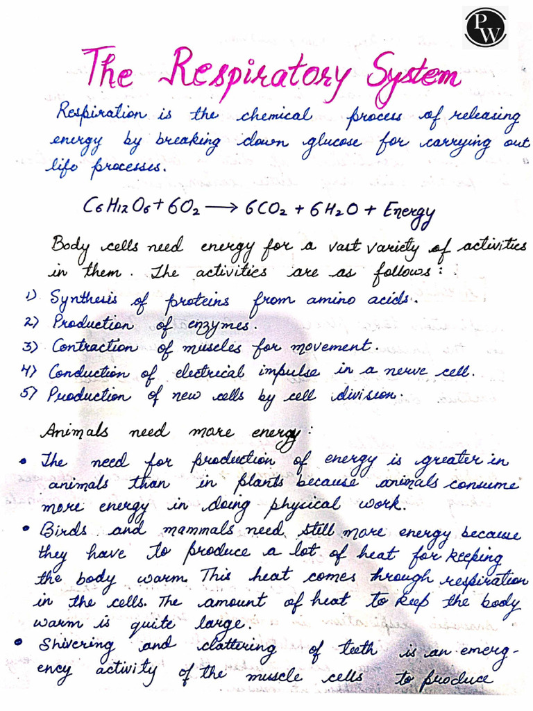 The Respiratory System-PW Handwritten notes - ICSE Class 9th-Biology | PDF