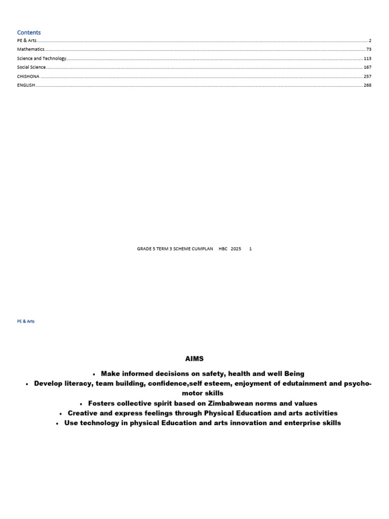 Grade 5 Term 3 Curriculum Plan | PDF | Learning | Teachers