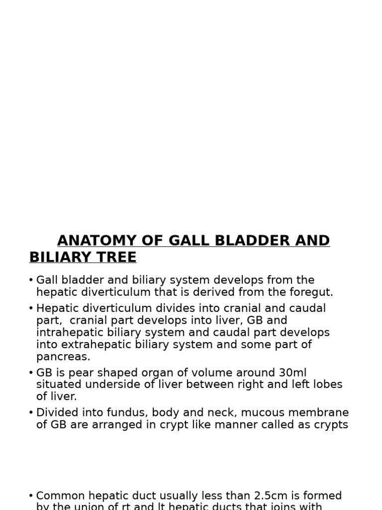 Gall Bladder and Biliary Tree Anatomy | PDF