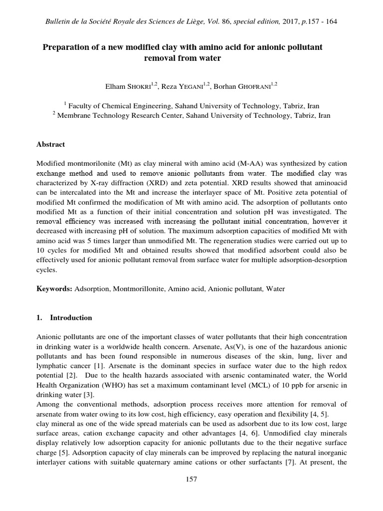 Modified Clay for Anionic Pollutant Removal | PDF | Adsorption | Acid