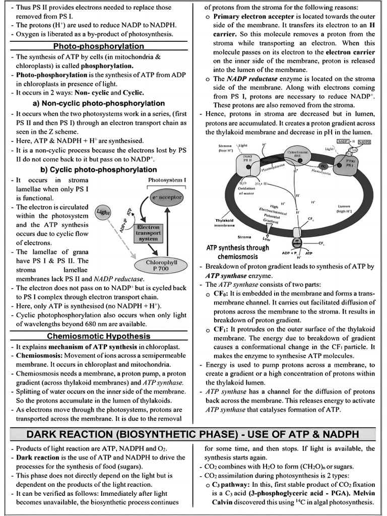 Image To PDF 20251108 20.54.18 | PDF