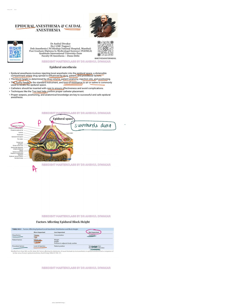 Epidural, Caudal, Saddle Segmental Spin | PDF