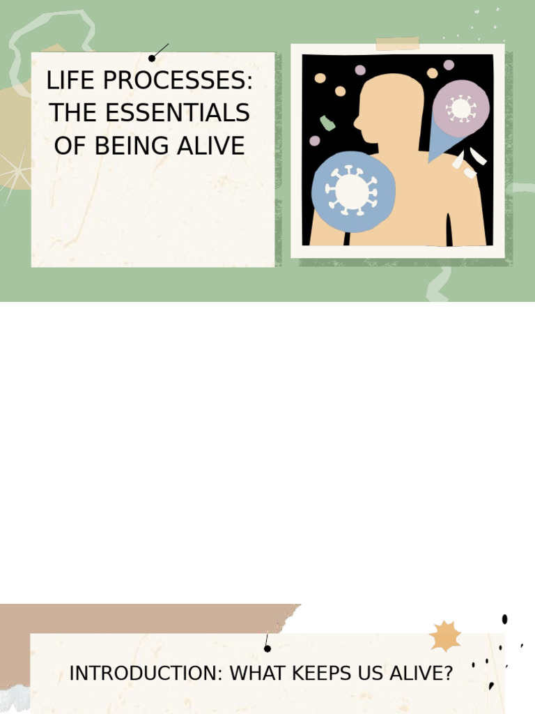 Life Processes The Essentials of Being Alive | PDF | Nutrition | Diet ...