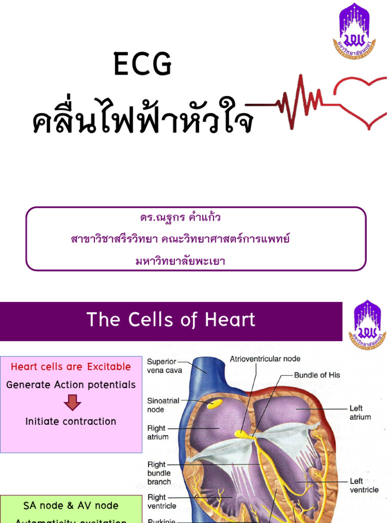 Workshop 3 ECG Lab | PDF
