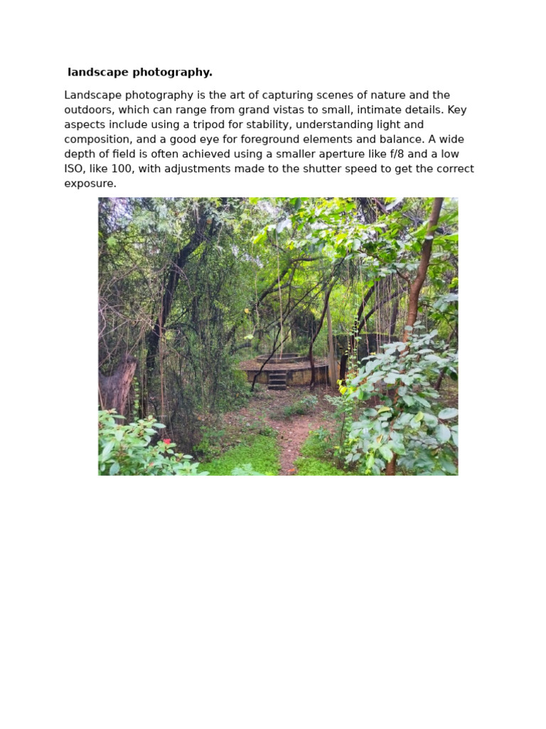 Landscape Photography | PDF