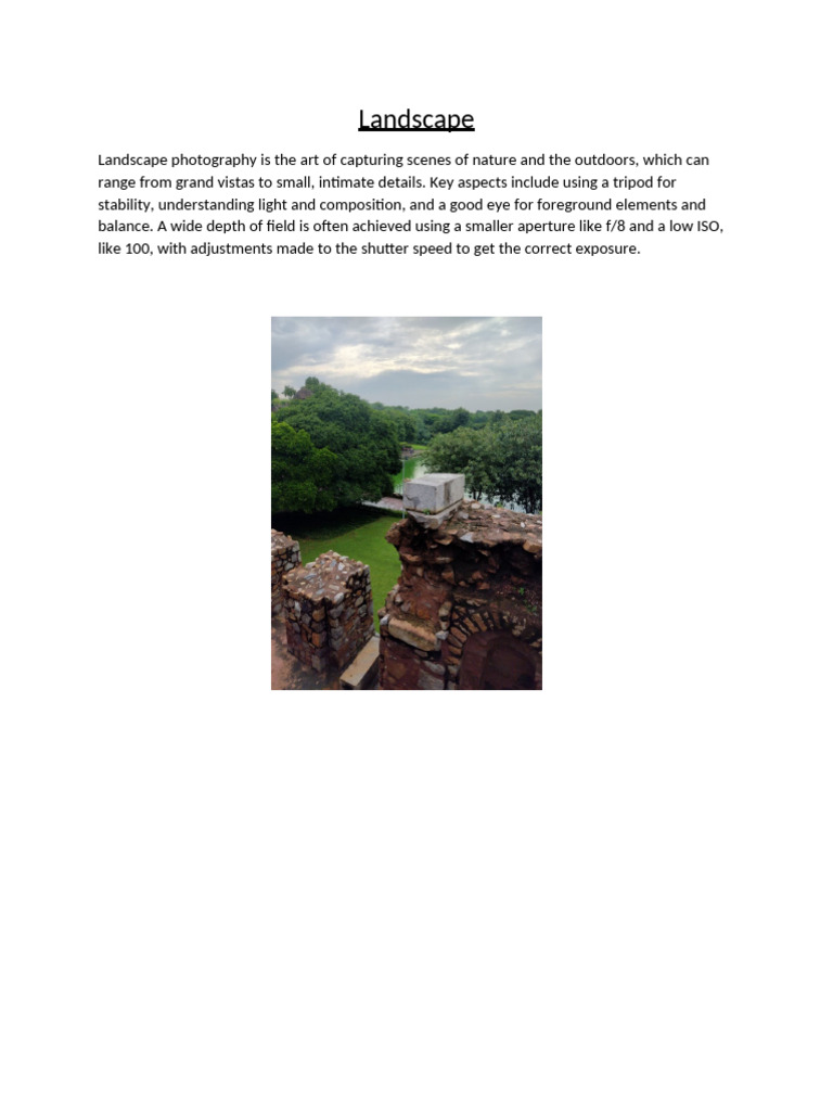 Landscape | PDF