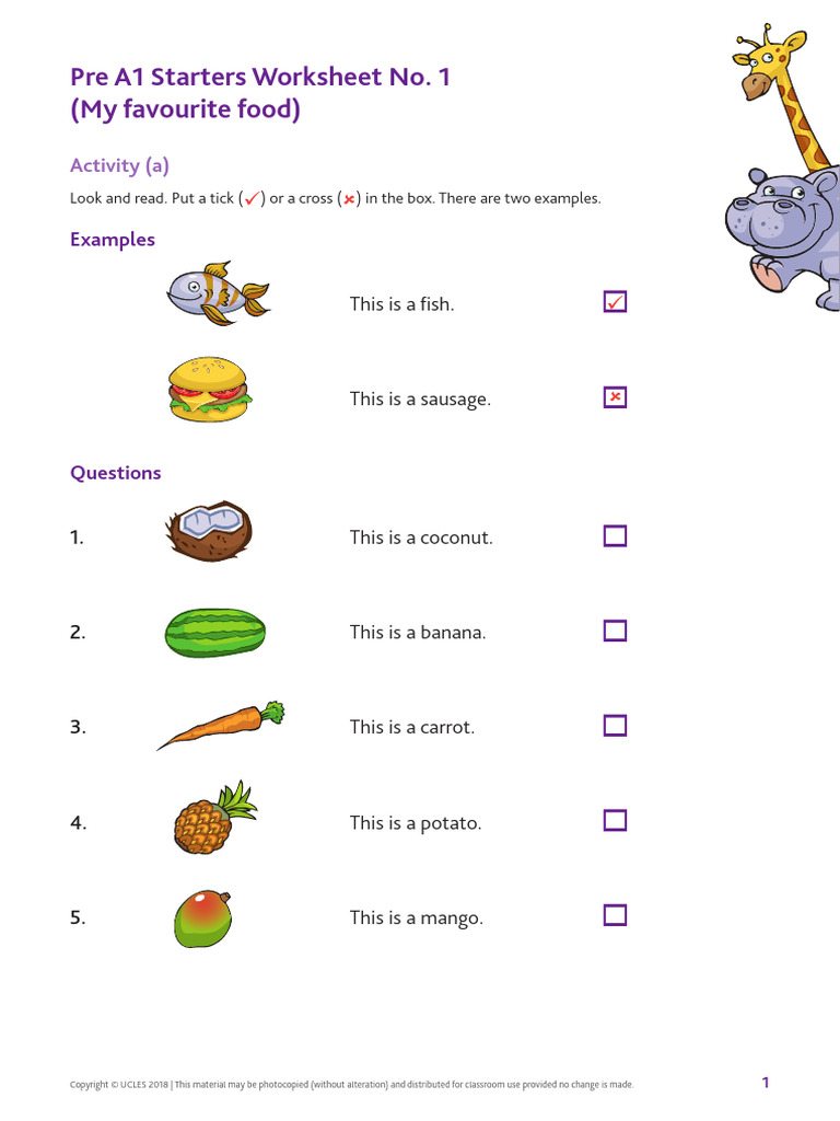 Cambridge English Pre A1 Starters Classroom Activities | PDF