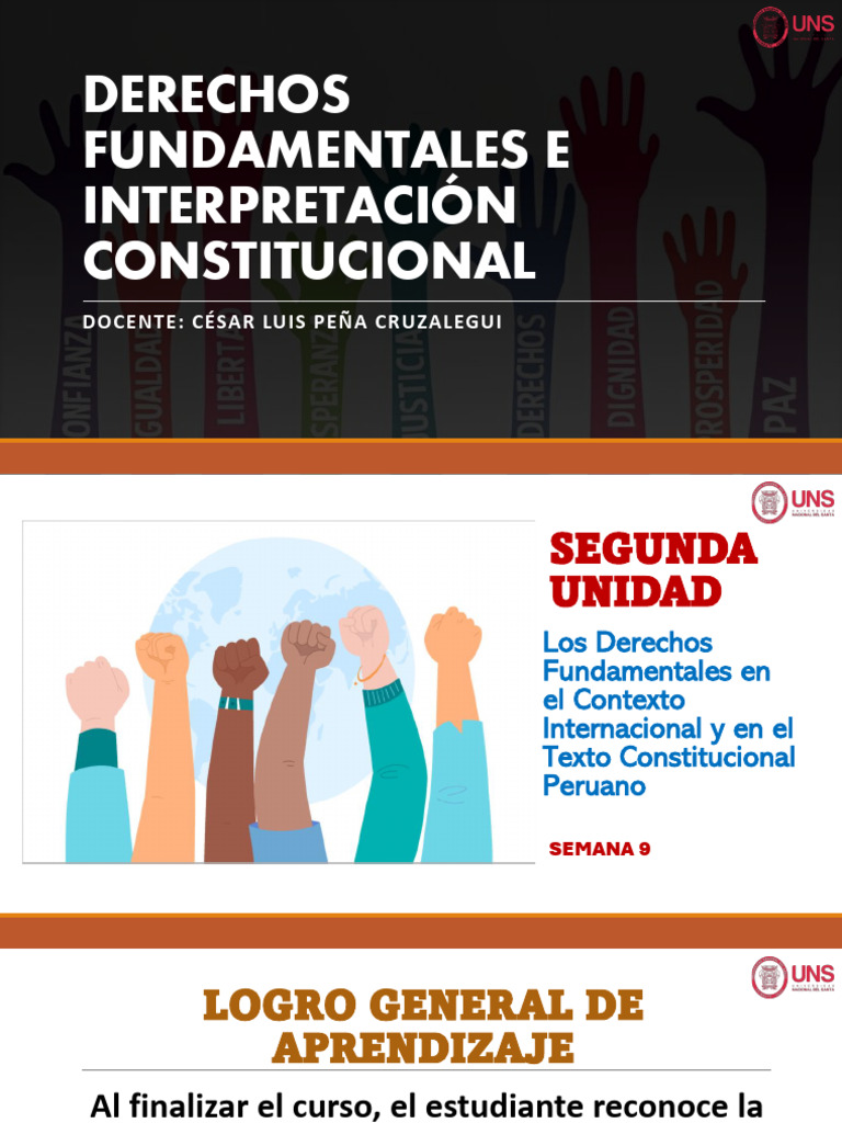 Derechos Fundamentales Semana 9 | PDF | Derechos | Derechos humanos