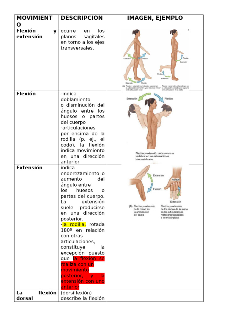 MOVIMIENTOS ANATÓMICOS | PDF | Términos anatómicos de ubicación | Mano