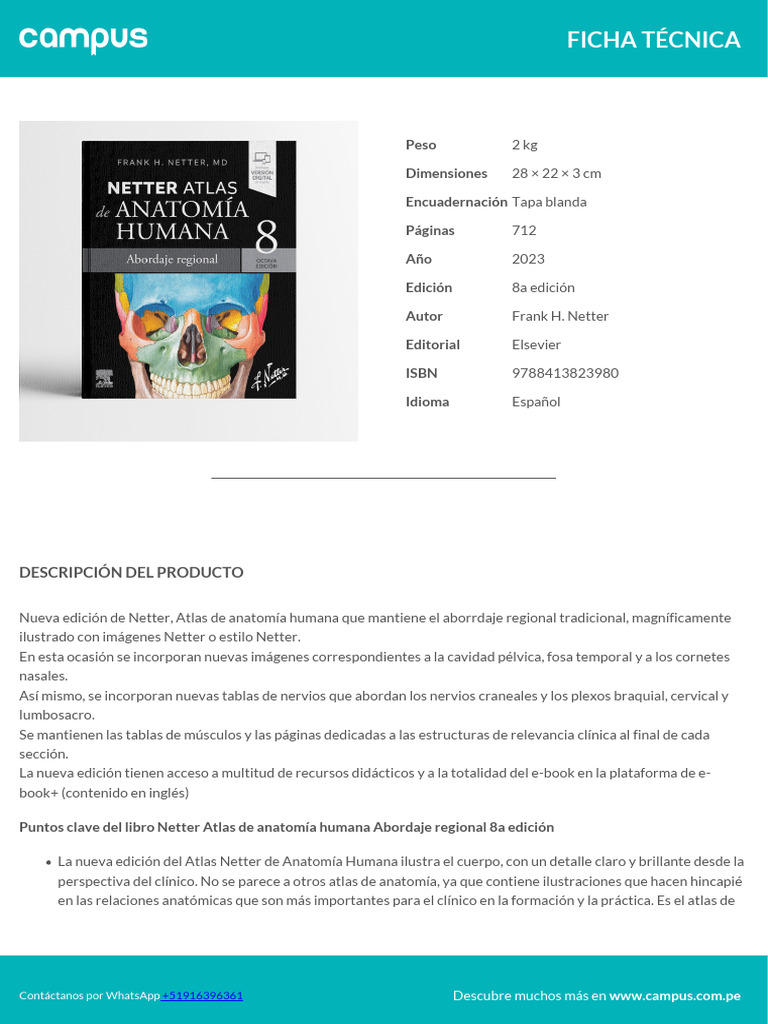 Netter Atlas de Anatoma Humana Abordaje Regional 8a Edicin | PDF | Abdomen | Anatomía