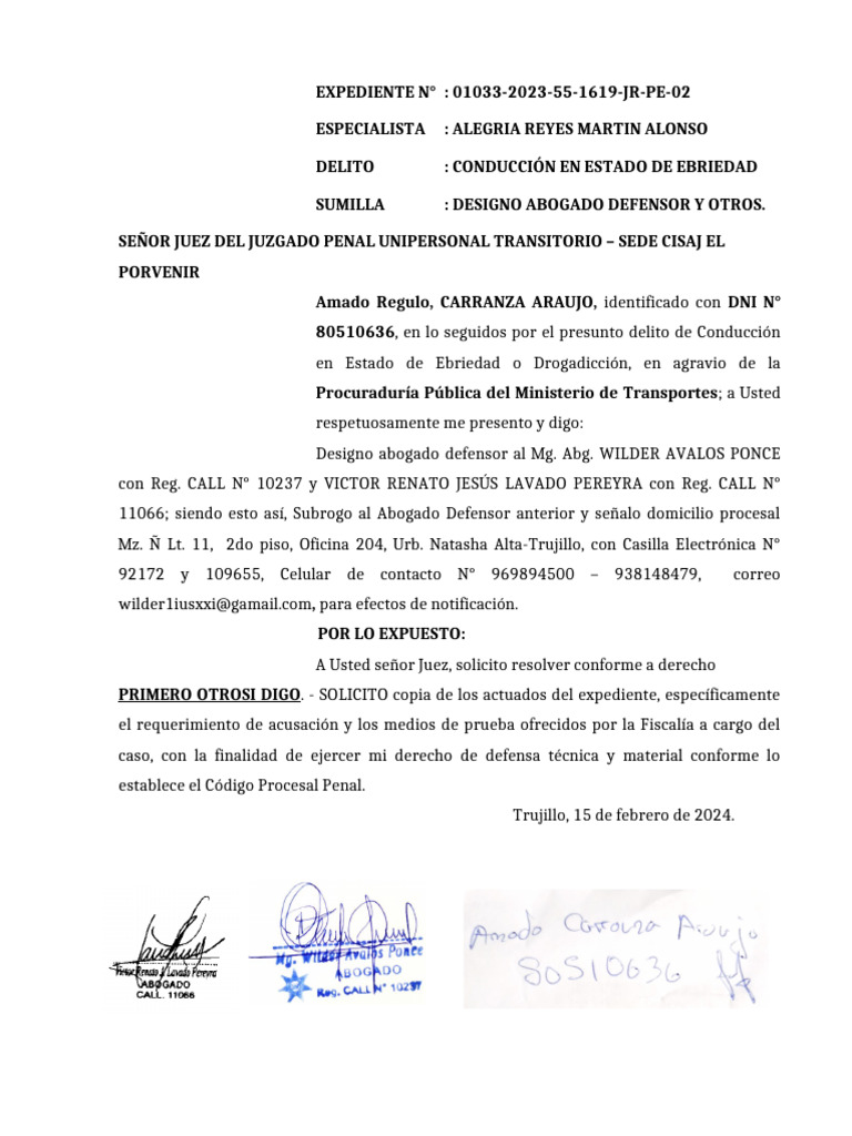 Designo Abogado Defensor y Otros - Carranza Araujo | PDF