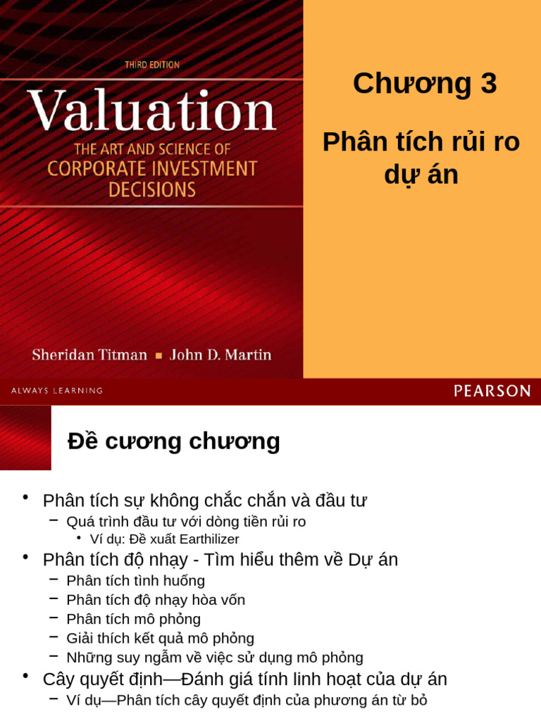 Chapter 3 - Project Risk Analysis - TUHOC | PDF