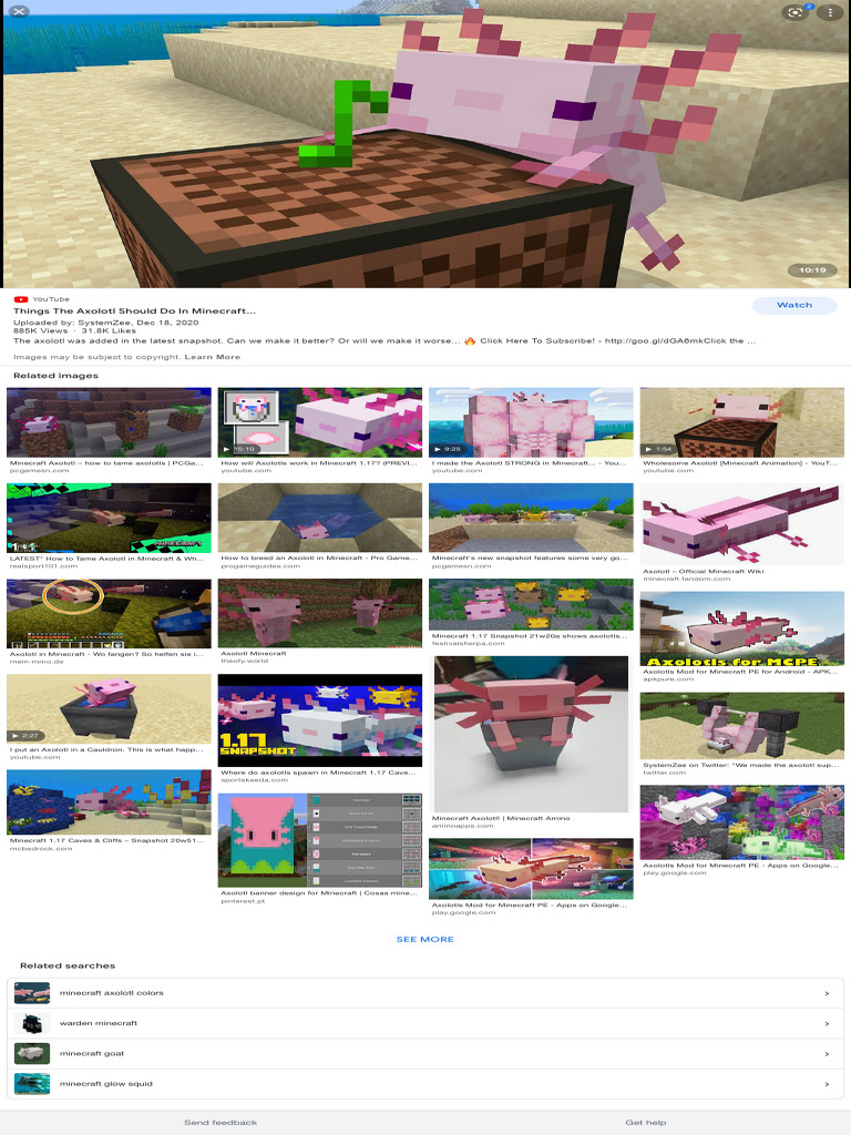 Enhancing Axolotls in Minecraft | PDF | You Tube | Minecraft