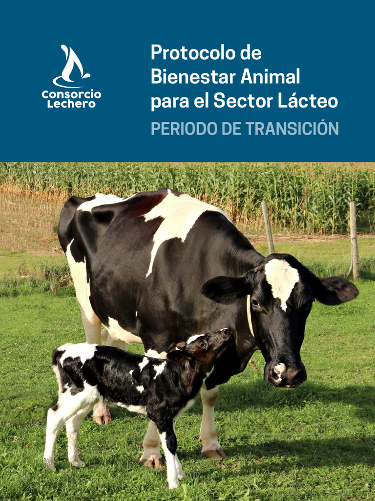 Protocolo de Bienestar Animal Lácteo | PDF | Parto