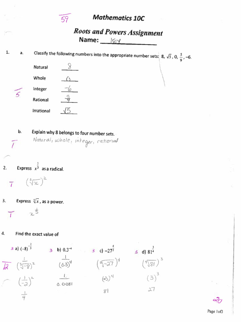 Roots and Powers Assignment Key | PDF