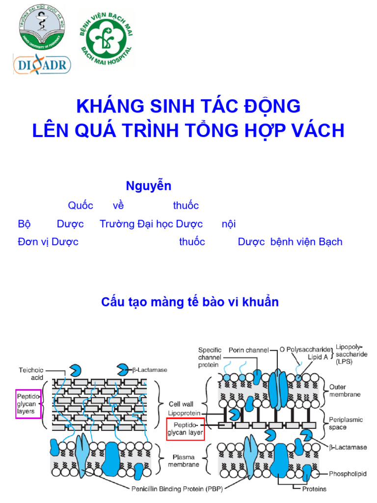 Khang Sinh Tac Dong Len Qua Trinh Tong Hop Vach 2021 2022 | PDF