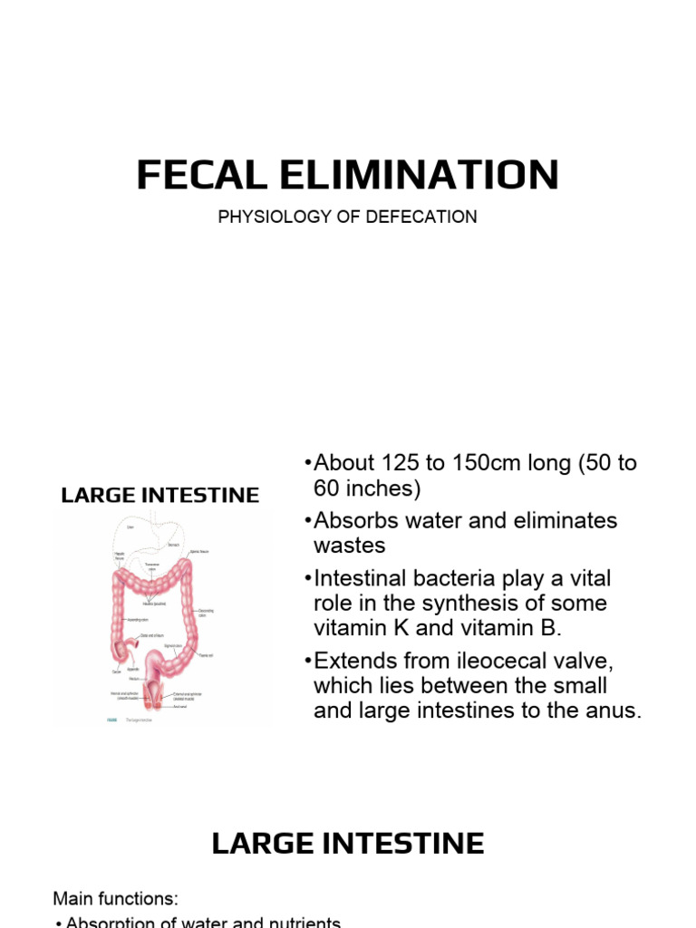 Irrigation Colostomy Ppt | PDF | Large Intestine | Rectum