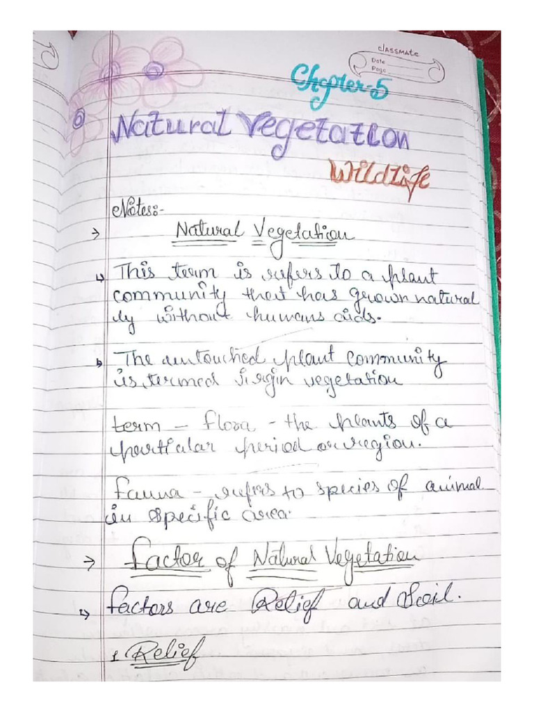 Class 9th SST Ch-5 Geography Notes Natural Vegetation and Wildlife | PDF