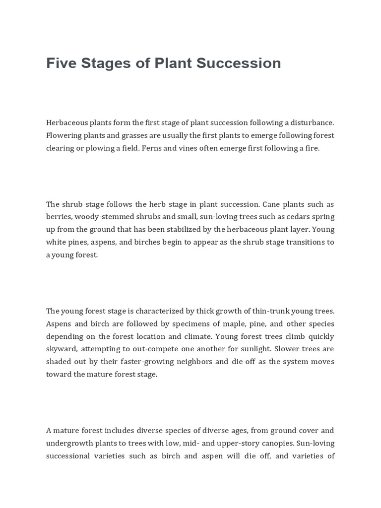Stages of Plant Succession Overview | PDF