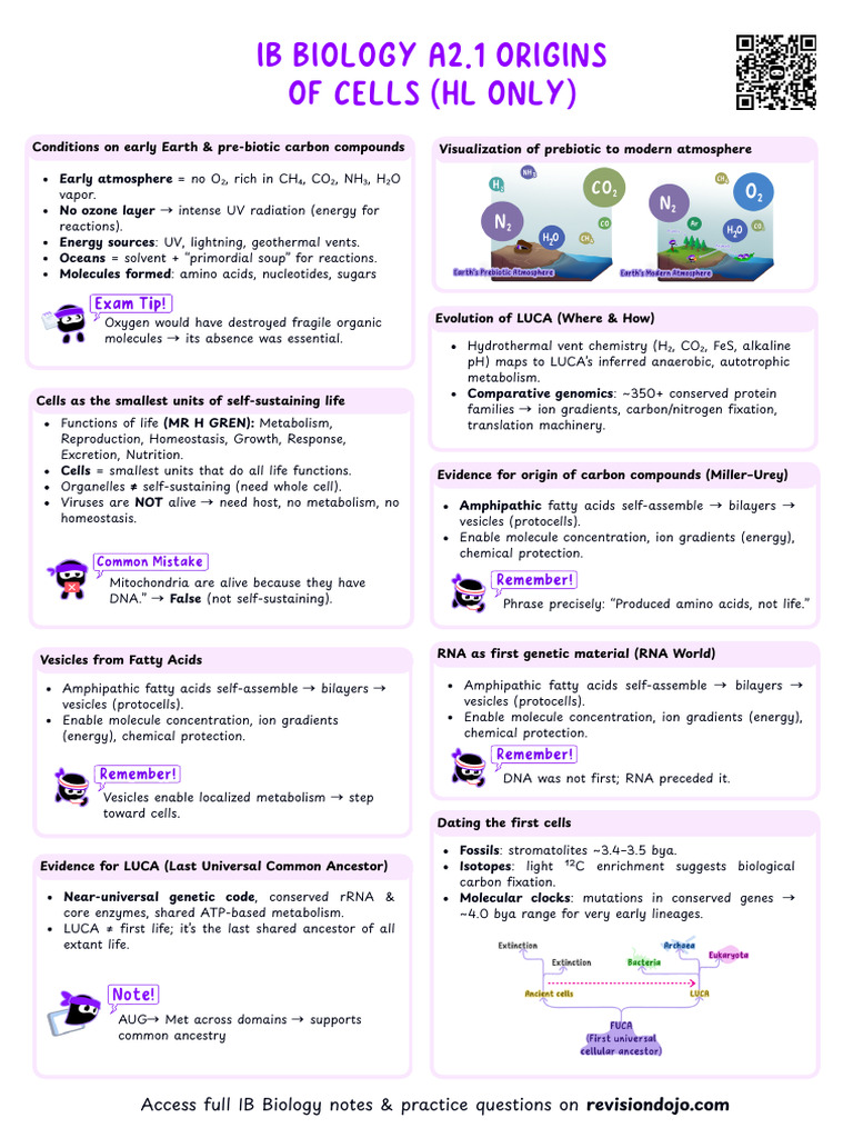 A2.1 Origins of Cells (HL Only) | PDF | Abiogenesis | Metabolism
