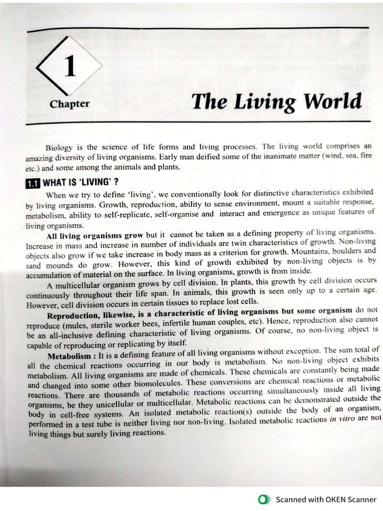 Living World | PDF