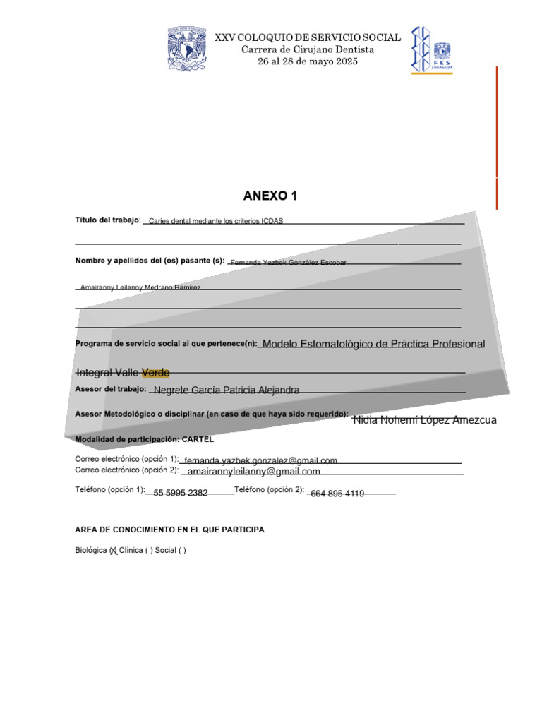 Anexo Única Hoja | PDF